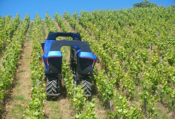 Firma Vitibot, produkująca elektryczne roboty do uprawy winorośli ...