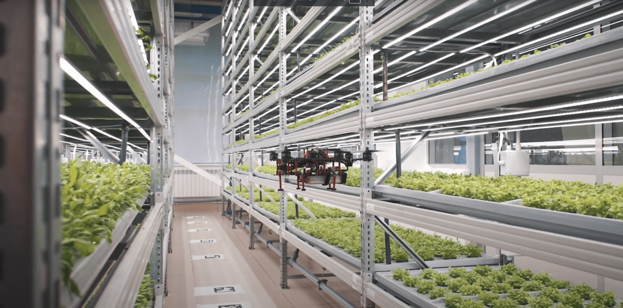 iFarm zdobył 4 mln dolarów na rozwój pionowych upraw roślin